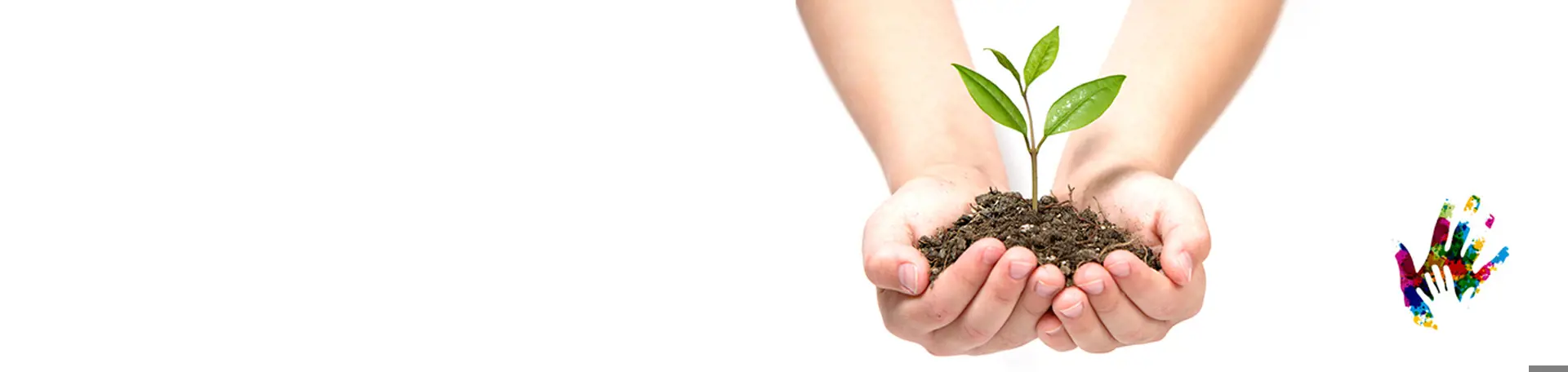 Charitable Giving Program | Westinghouse Nuclear