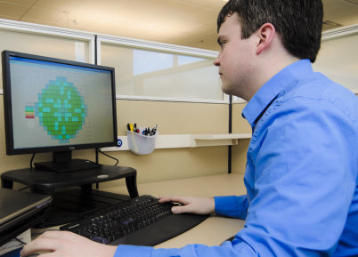 BEACON™ Core Monitoring Software | Westinghouse Nuclear